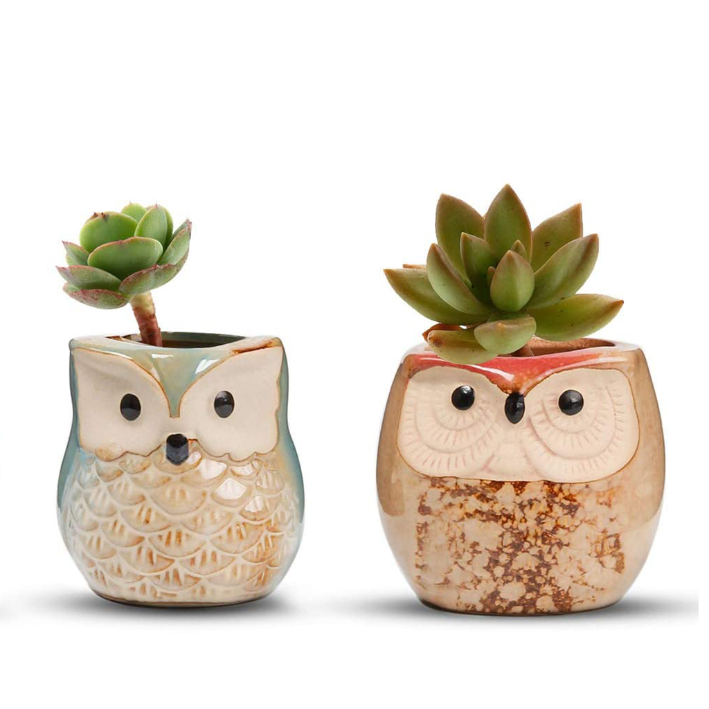 Mini macetas, tipos y materiales – MACETAS.shop